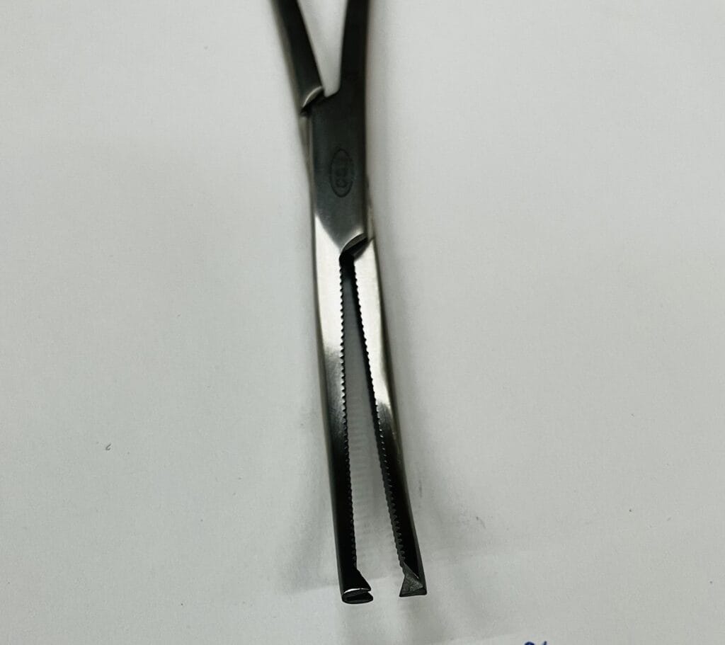 Kocker Forceps 10 inch (Straight) - Surgical Shoppe