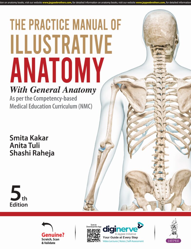 Illustrative Anatomy Manual - Essential Guide for Medical Students